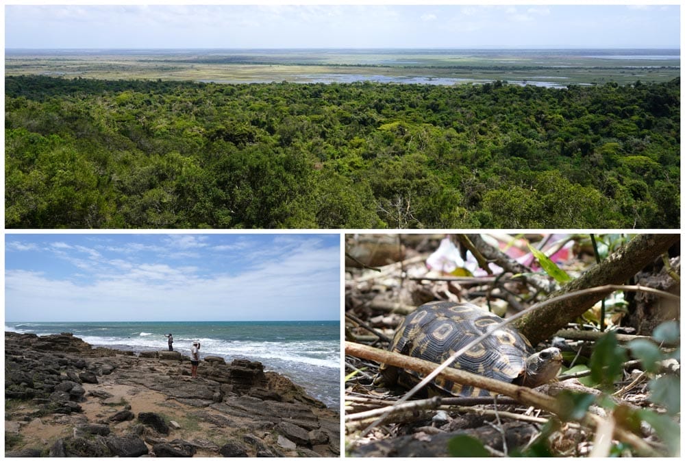 Guía para visitar el Parque del Humedal de iSimangaliso