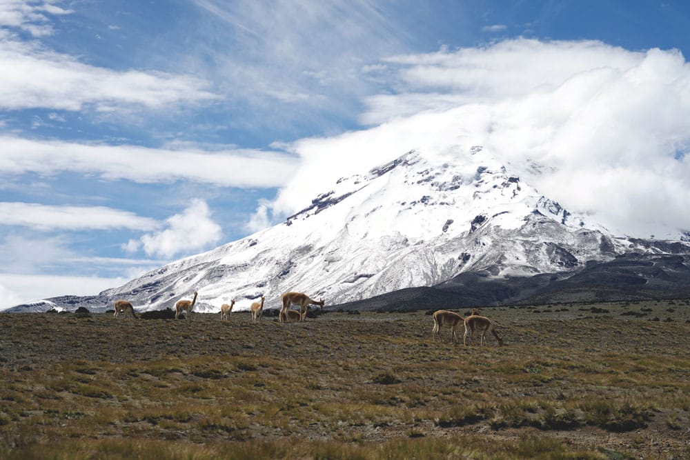 Cómo tener internet en América Latina y cuál es la mejor eSIM